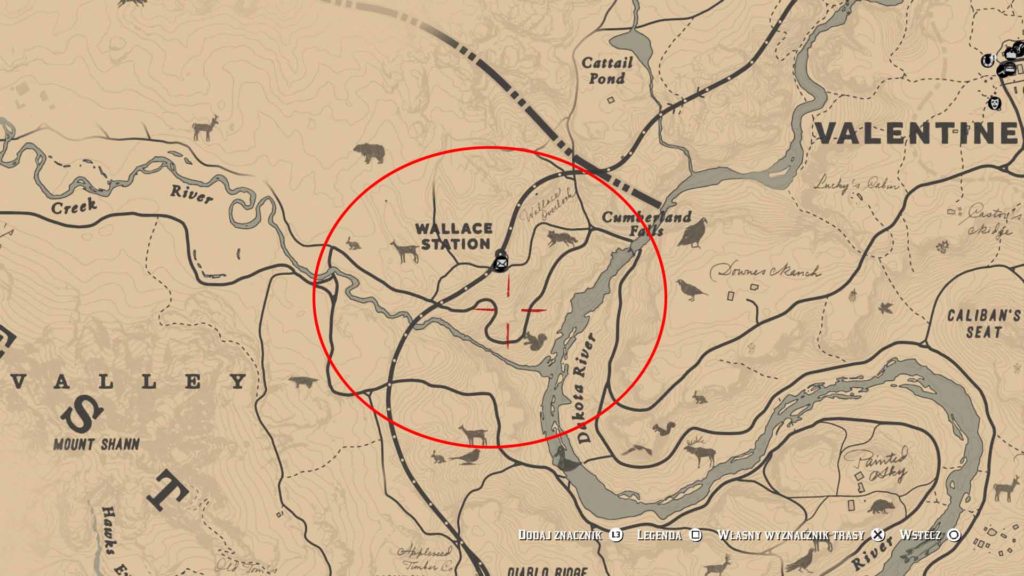 Red Dead Redemption 2 - Przedmioty kolekcjonerskie - Łowca skarbów